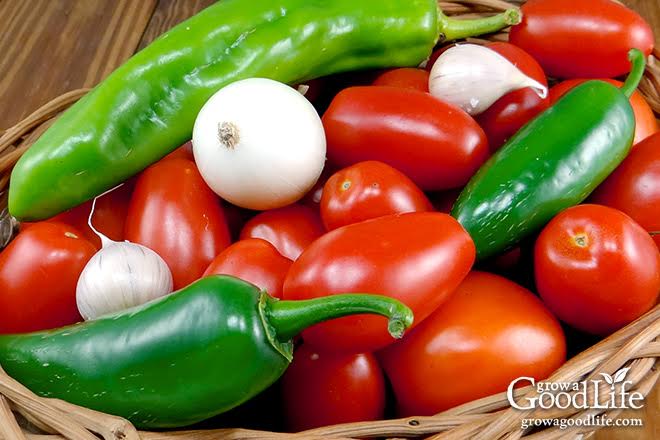 Grow a Good Life – Ever Growing Farm